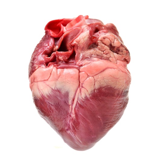 Beef Heart - PRE ORDER ONLY – Brock Farms Freezer Beef